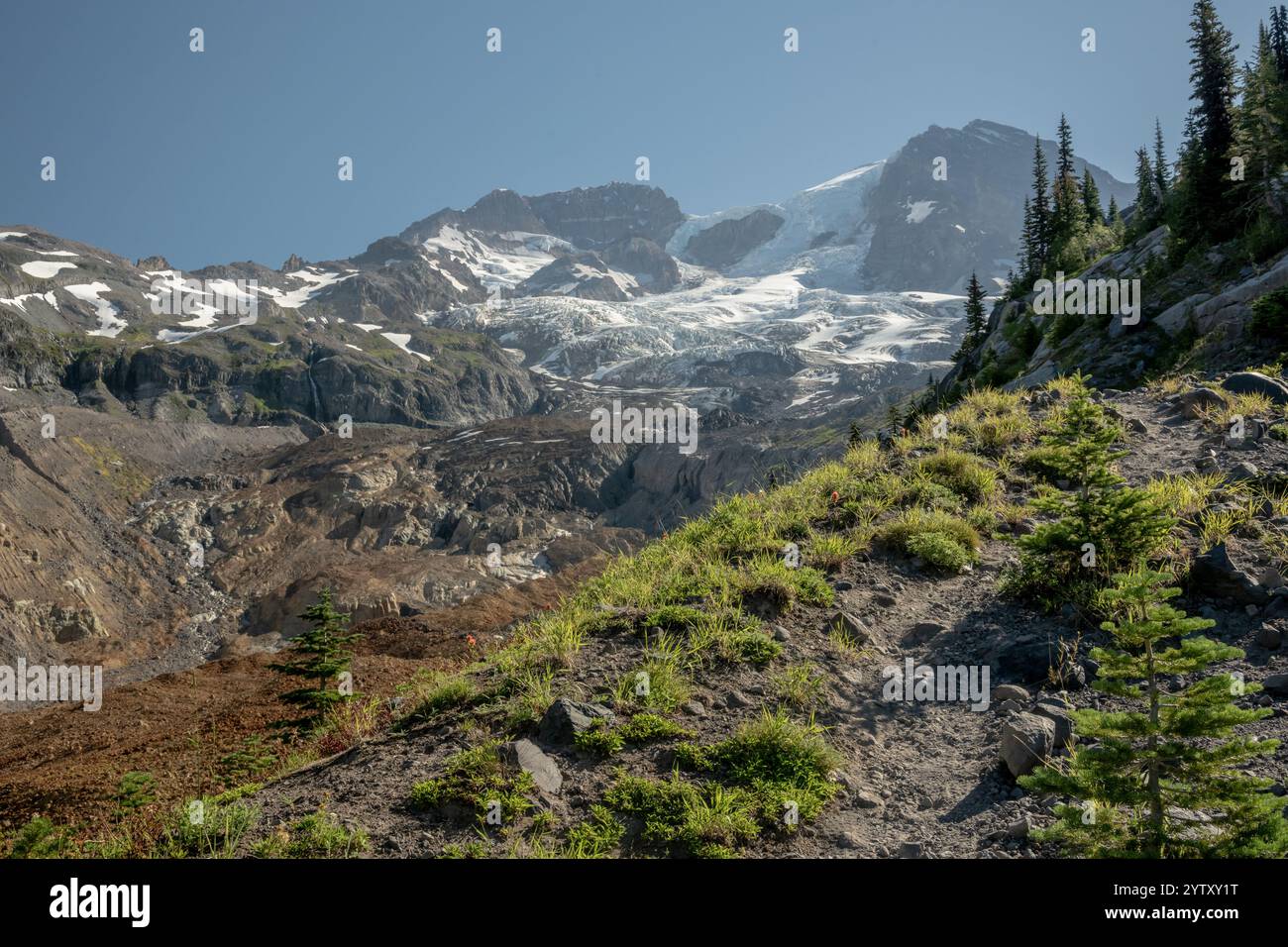 Wonderland Trail Cuts Through Alpine Meadow in Emerald Ridge in Mount ...