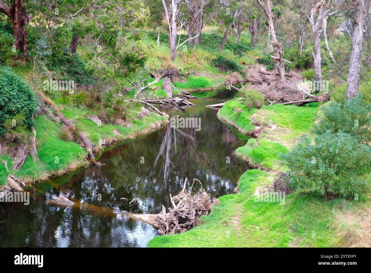 The Blackwood River as seen from the railway bridge with trees ...