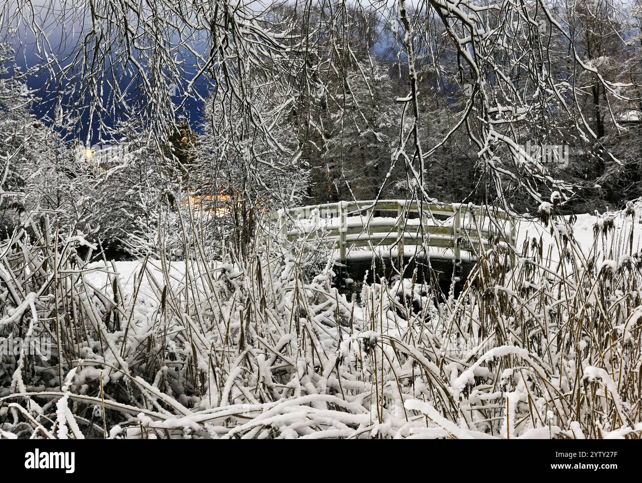 a serene winter scene featuring a snow-covered wooden bridge surrounded ...