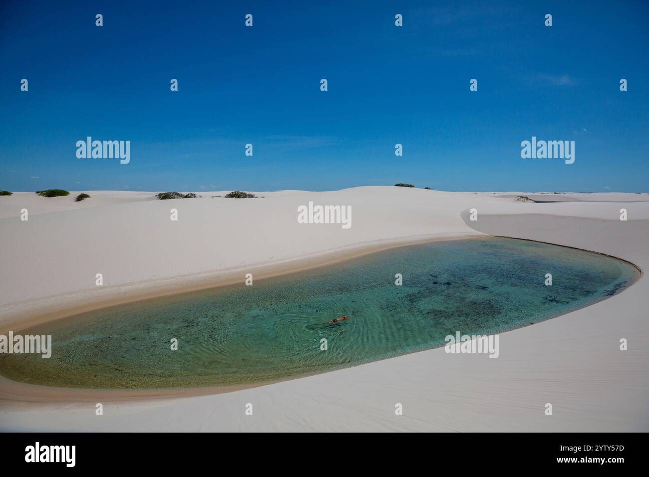 Lagoons in the desert of Lencois Maranhenses National Park, Brazil ...