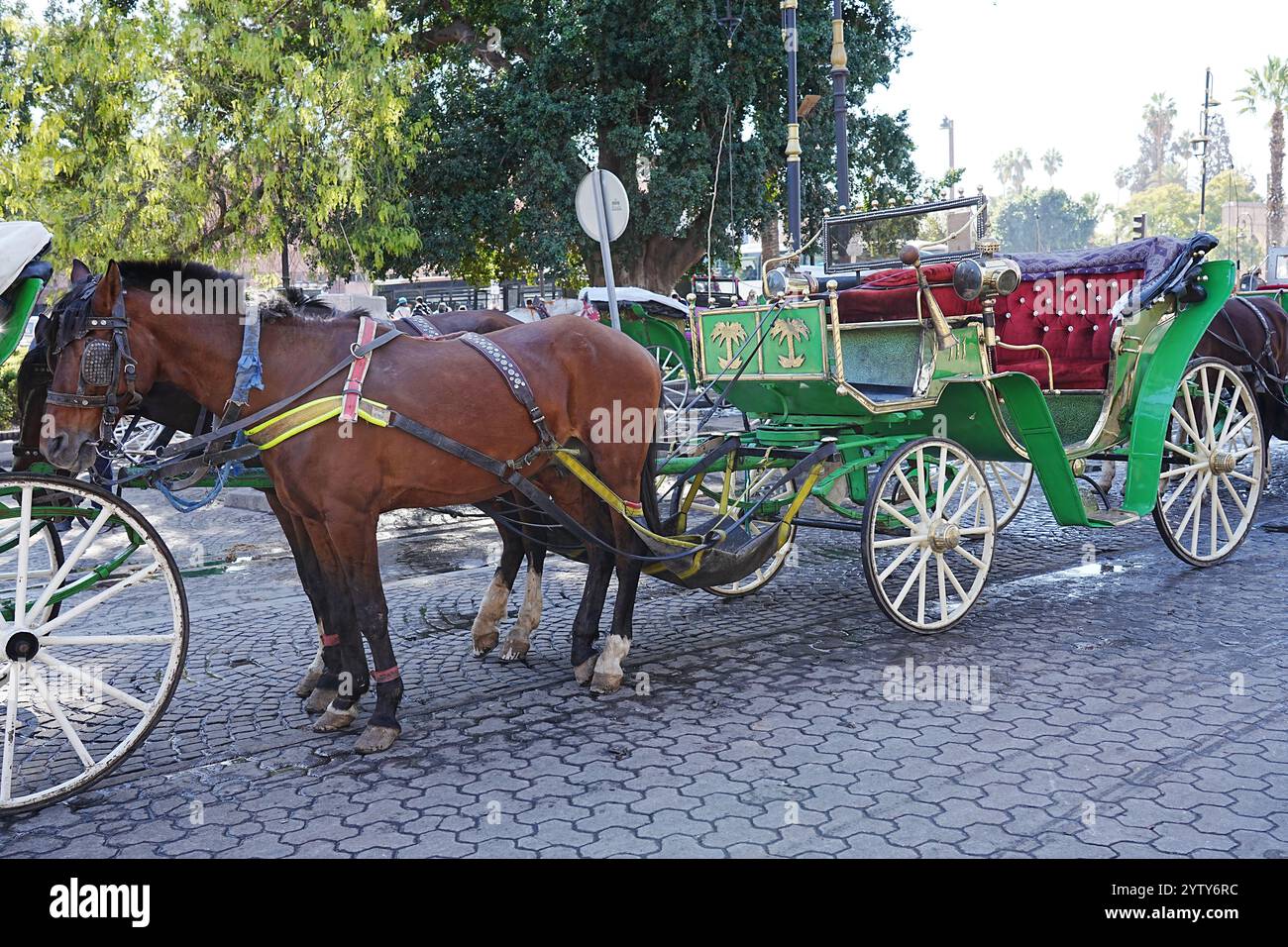 A horse-drawn carriages at Jemaa el-Fnaa in African MARRAKESH city in ...