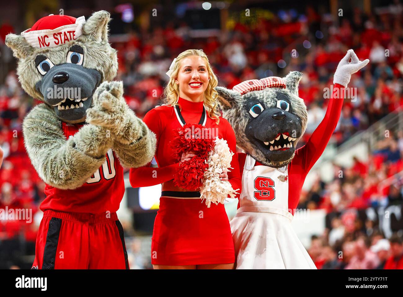 University of florida mascots hi-res stock photography and images - Alamy