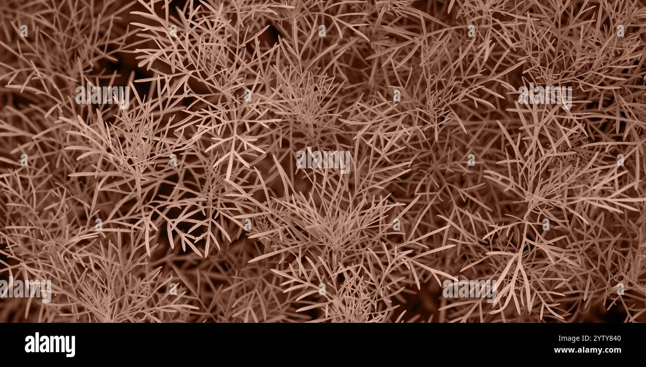 Abstract background of plants. Demonstrating the colors of 2025 - Mocha ...