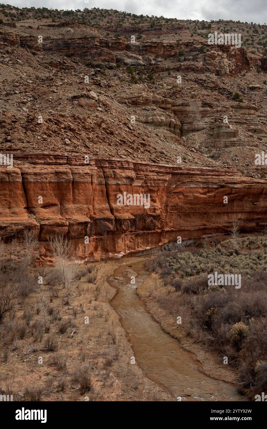 Red cliffs, presumably of Entrada sandstone, next to Escalante Creek in ...