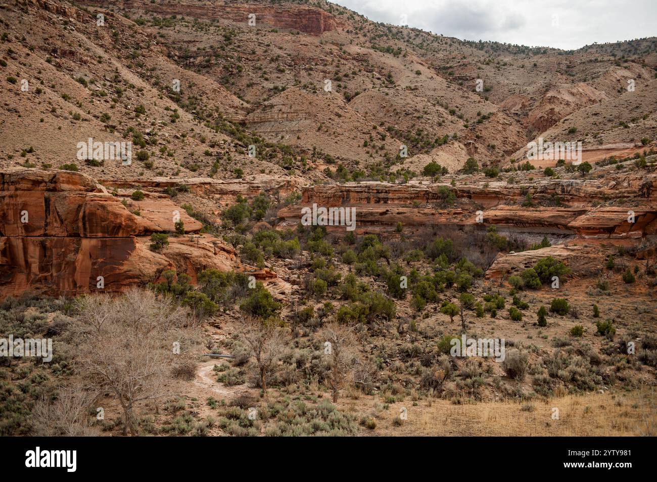 An exposure of Entrada sandstone and Morrison Formation rock above it ...