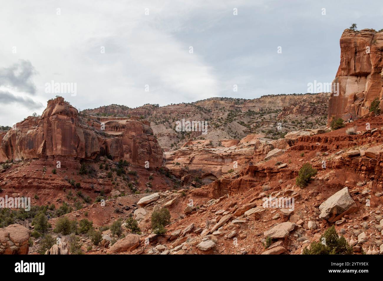 A hiker explores a wash in the side of Escalante Creek's canyon in the ...