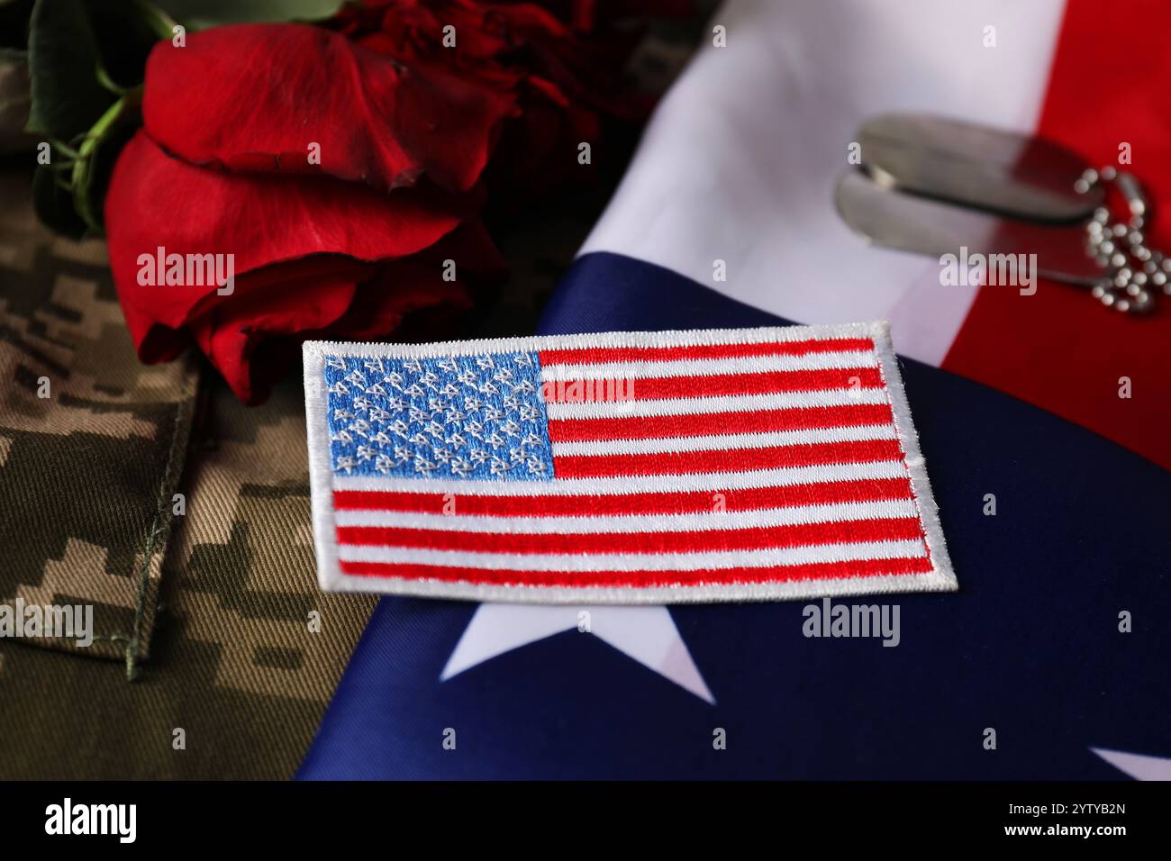 Veterans day. USA army patch, tokens, American flag, roses and military ...