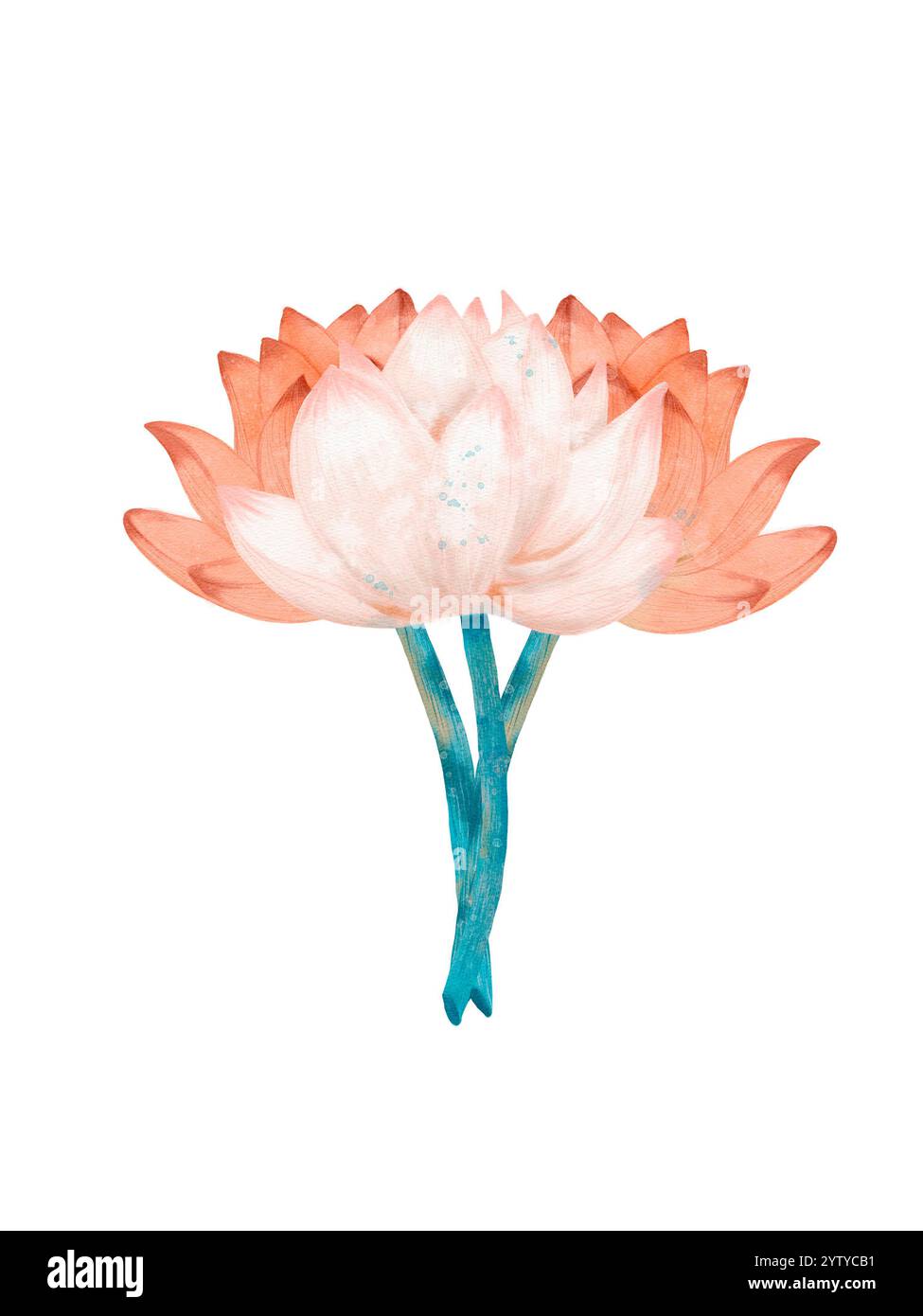 A stunningly beautiful digital illustration of a lotus flower depicted ...