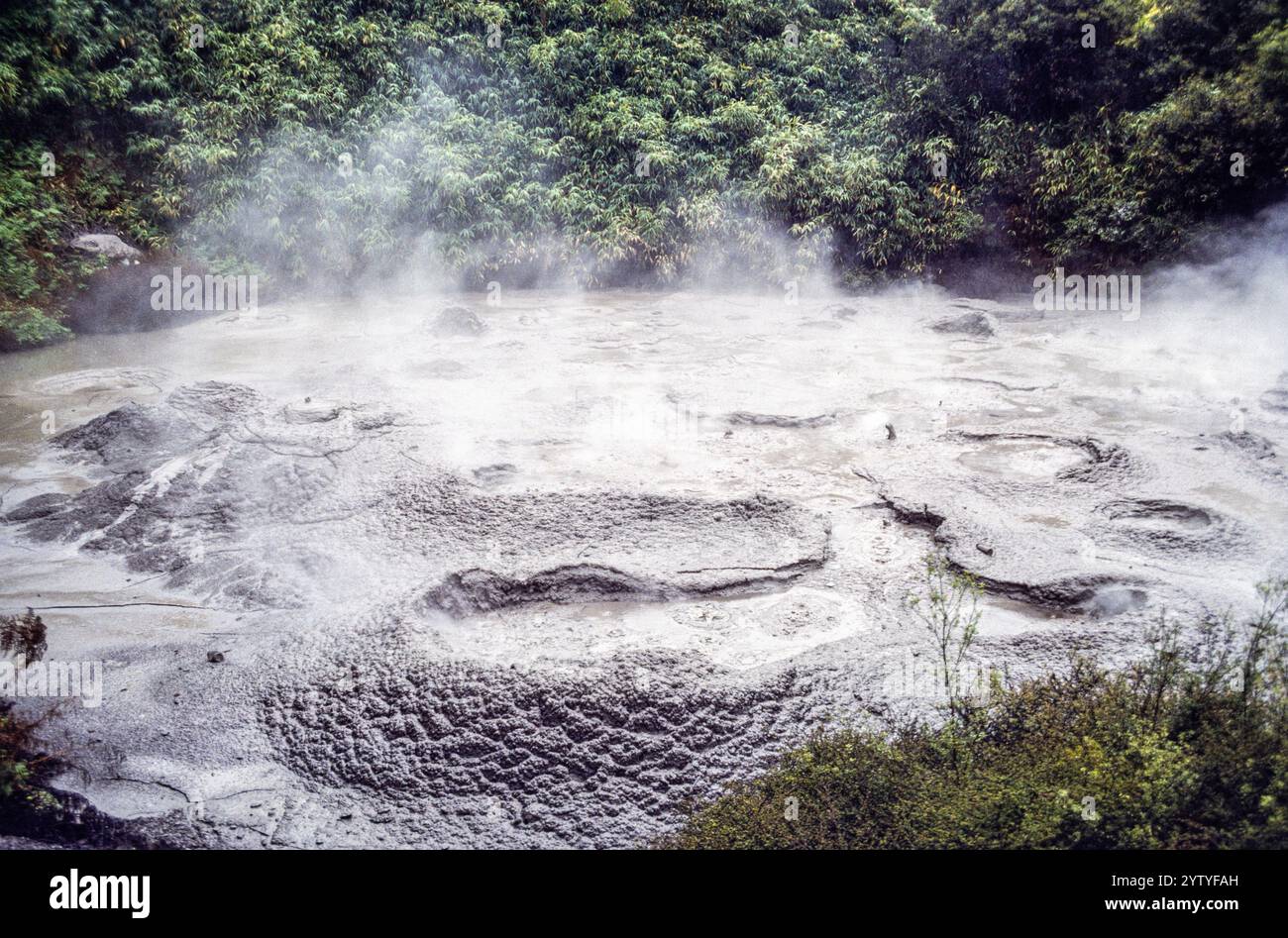 Hot spring area at Whakarewarewa, Rotorua, on the North Island of New ...