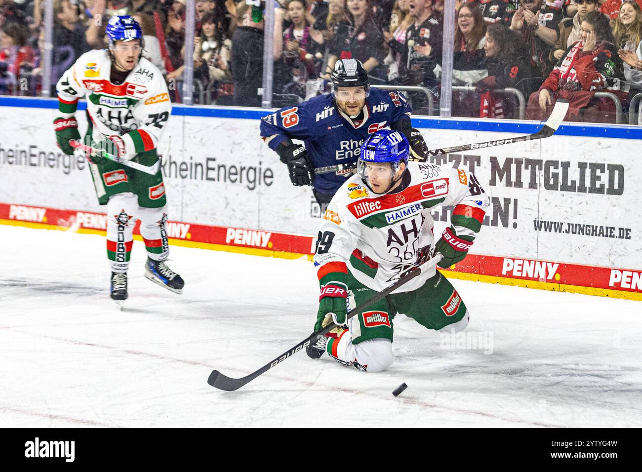 Mark Zengerle (Augsburger Panther, #89), Riley McCourt (Augsburger ...