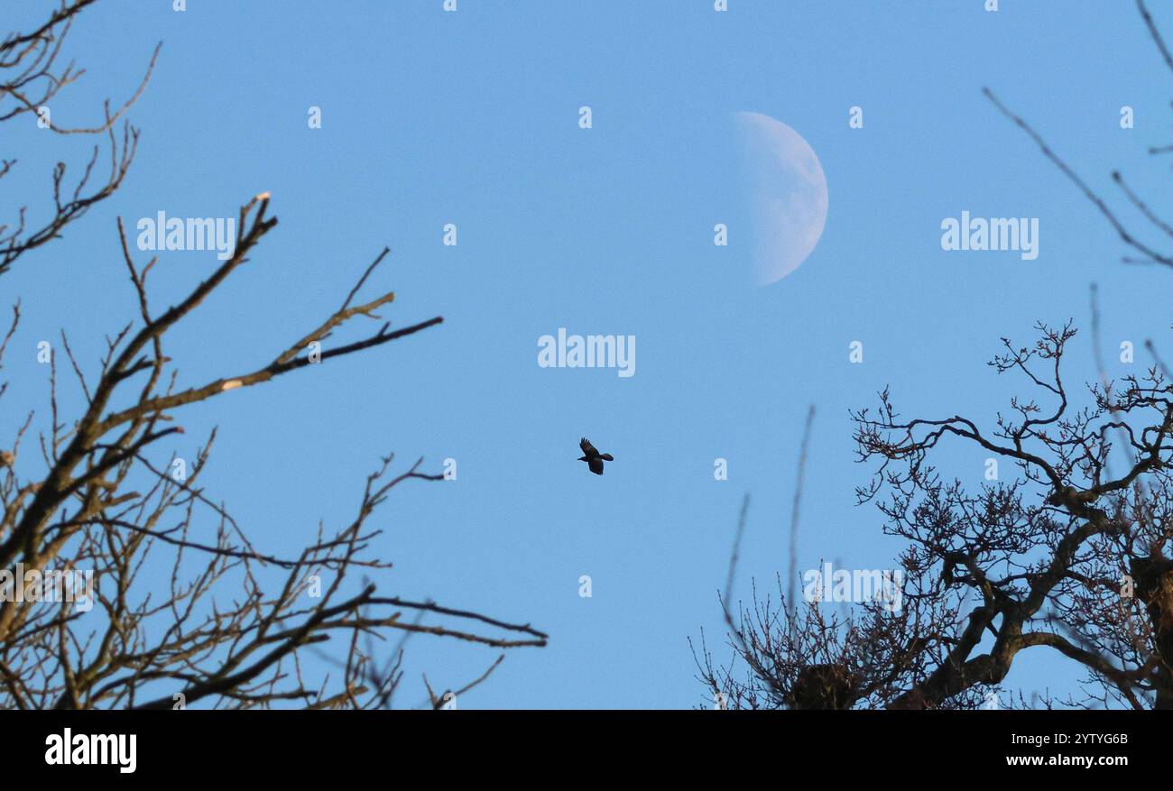 Moira december 2024 hi-res stock photography and images - Alamy