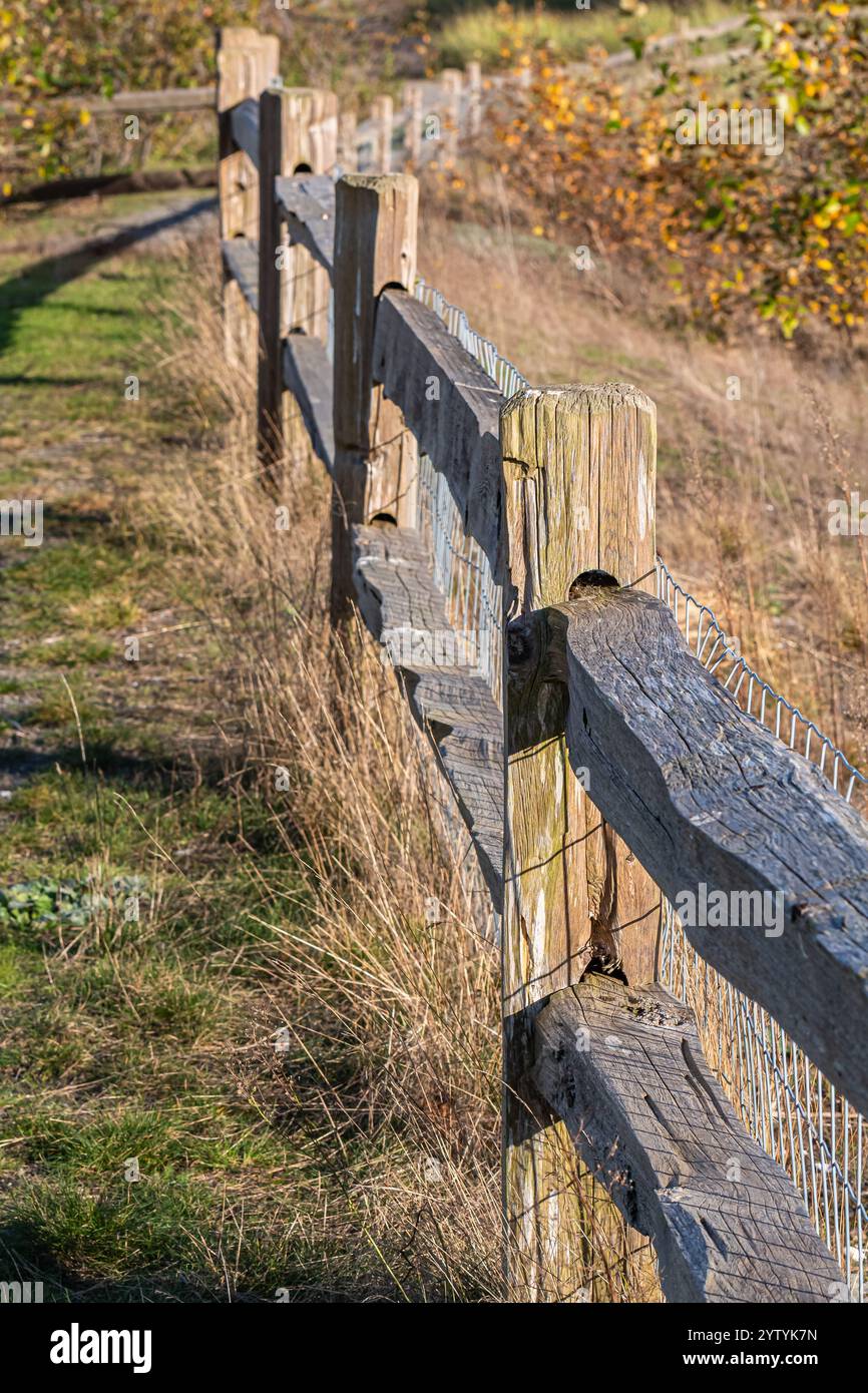 Wooden fence barrier at farm grounds for cattle and territory ...