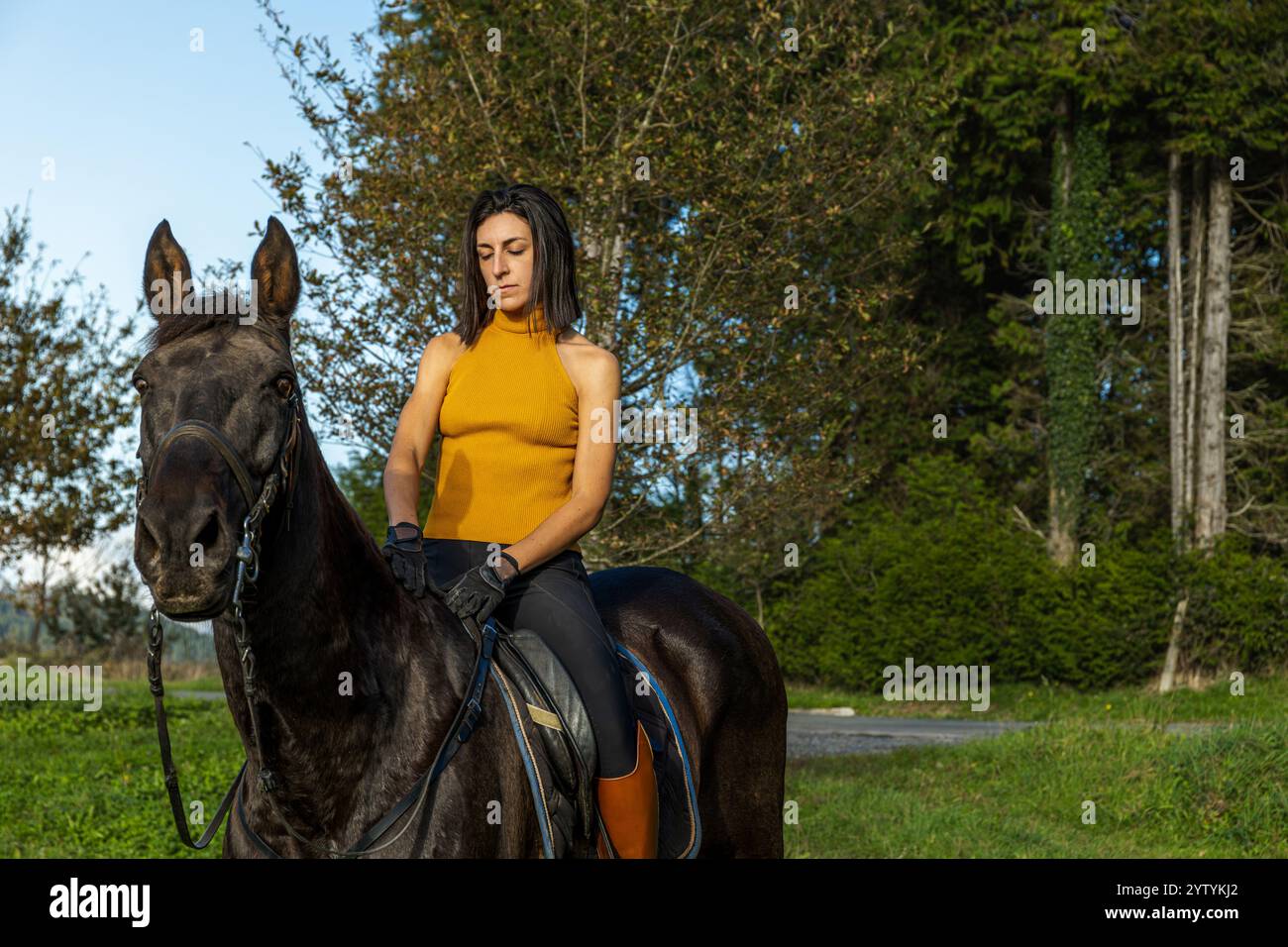 Horsebacktrail hi-res stock photography and images - Alamy