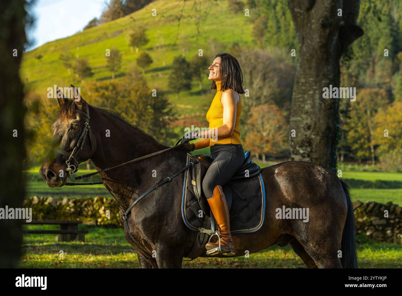 Equestrianwoman hi-res stock photography and images - Alamy