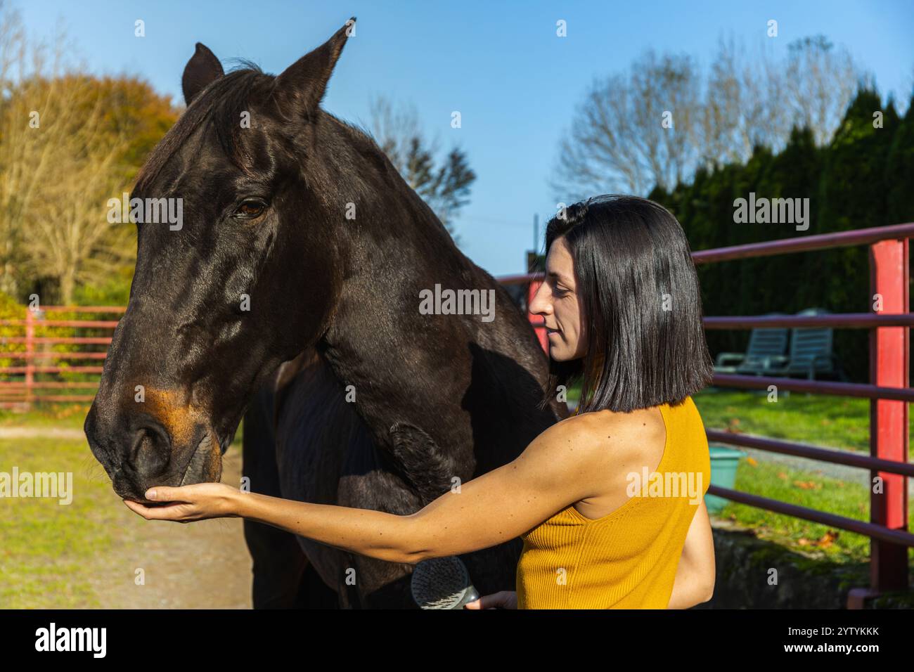 Trustbuilding hi-res stock photography and images - Alamy