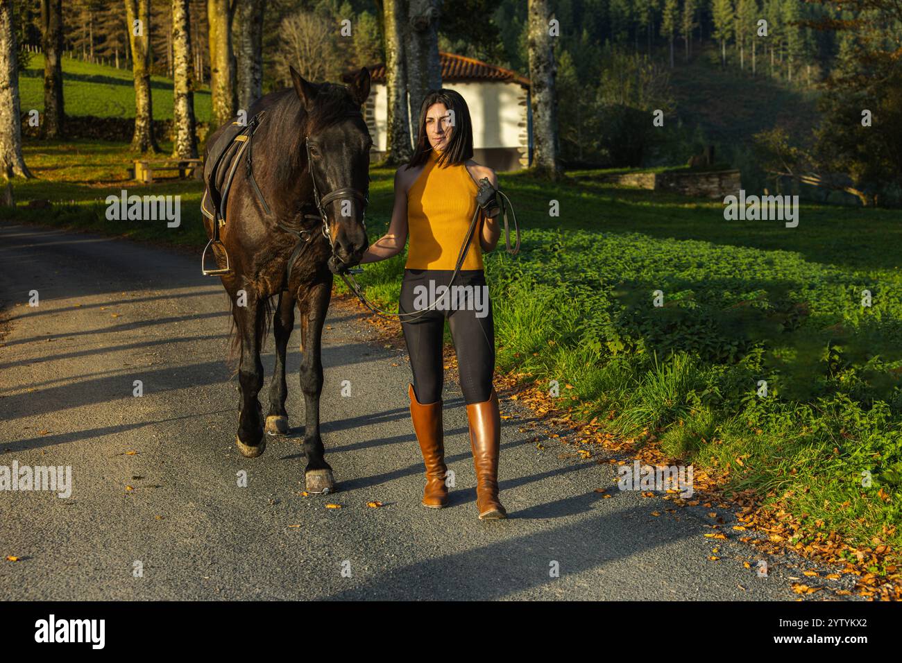 Leadinghorse hi-res stock photography and images - Alamy