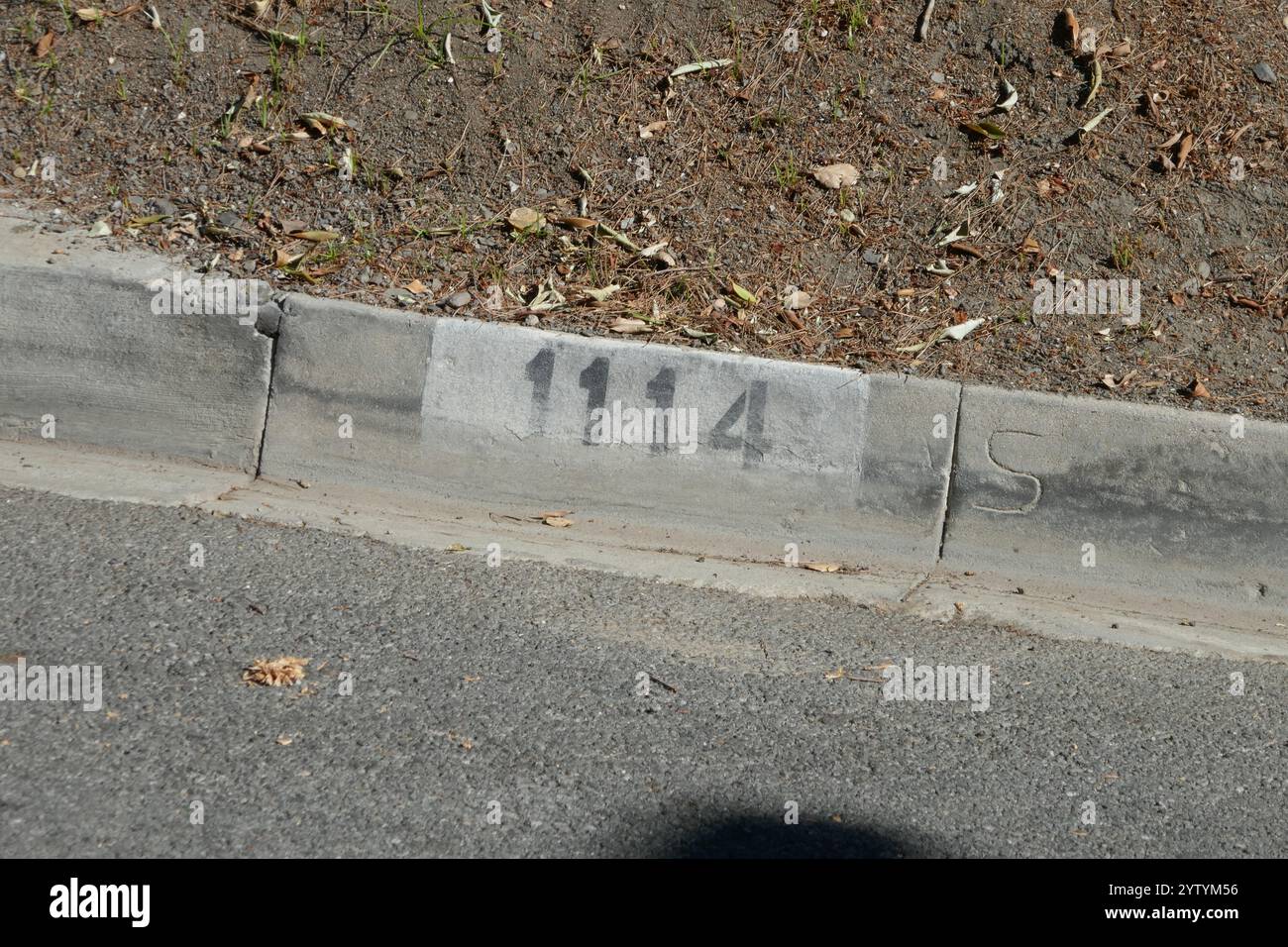 Beverly Hills, California, USA 7th December 2024 Actor Tony Martin and ...
