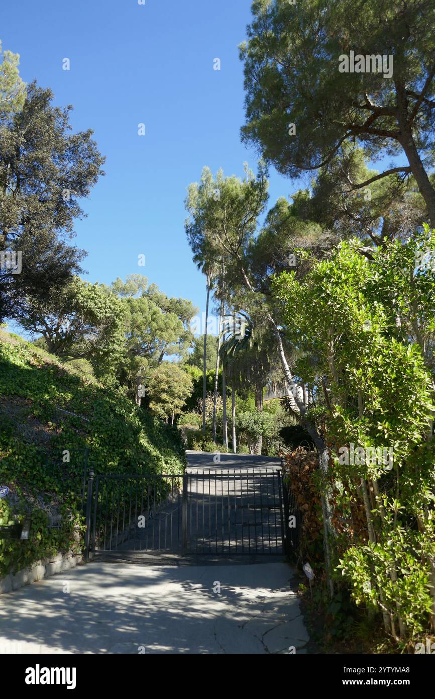 Beverly Hills, California, USA 7th December 2024 Actor Tony Martin and ...