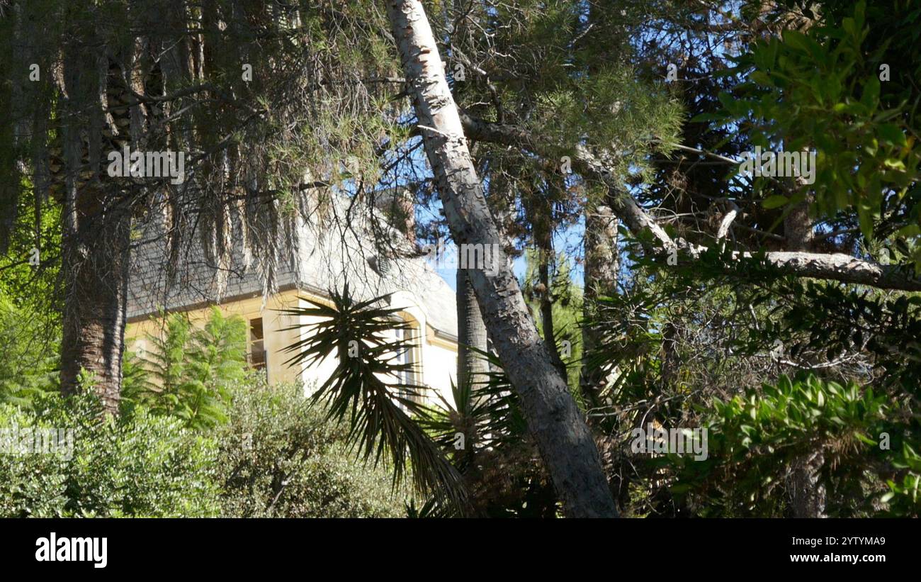 Beverly Hills, California, USA 7th December 2024 Actor Tony Martin and ...