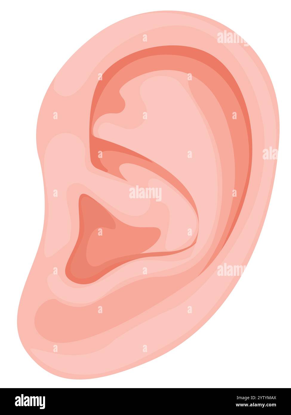 Human Ear, human body parts, ear vector icon for web design Stock ...