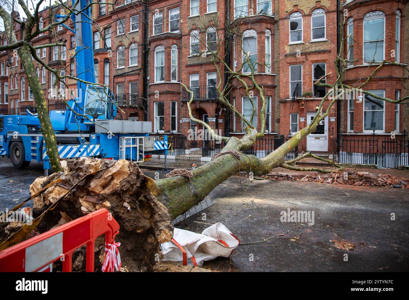 London, UK. 08th Dec, 2024. A fallen tree that damaged the building ...