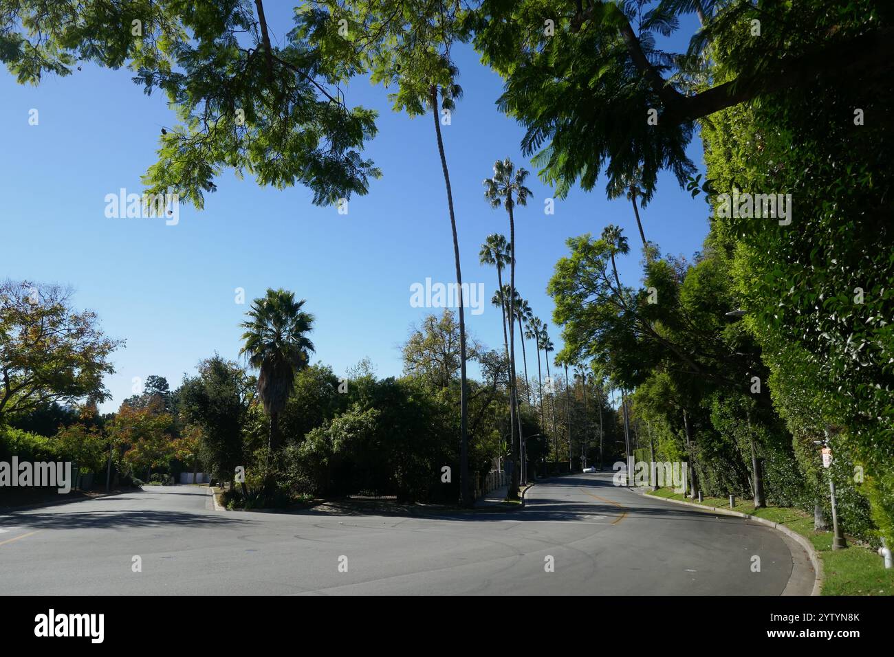 Beverly Hills, California, USA 7th December 2024 Doheny Road on ...