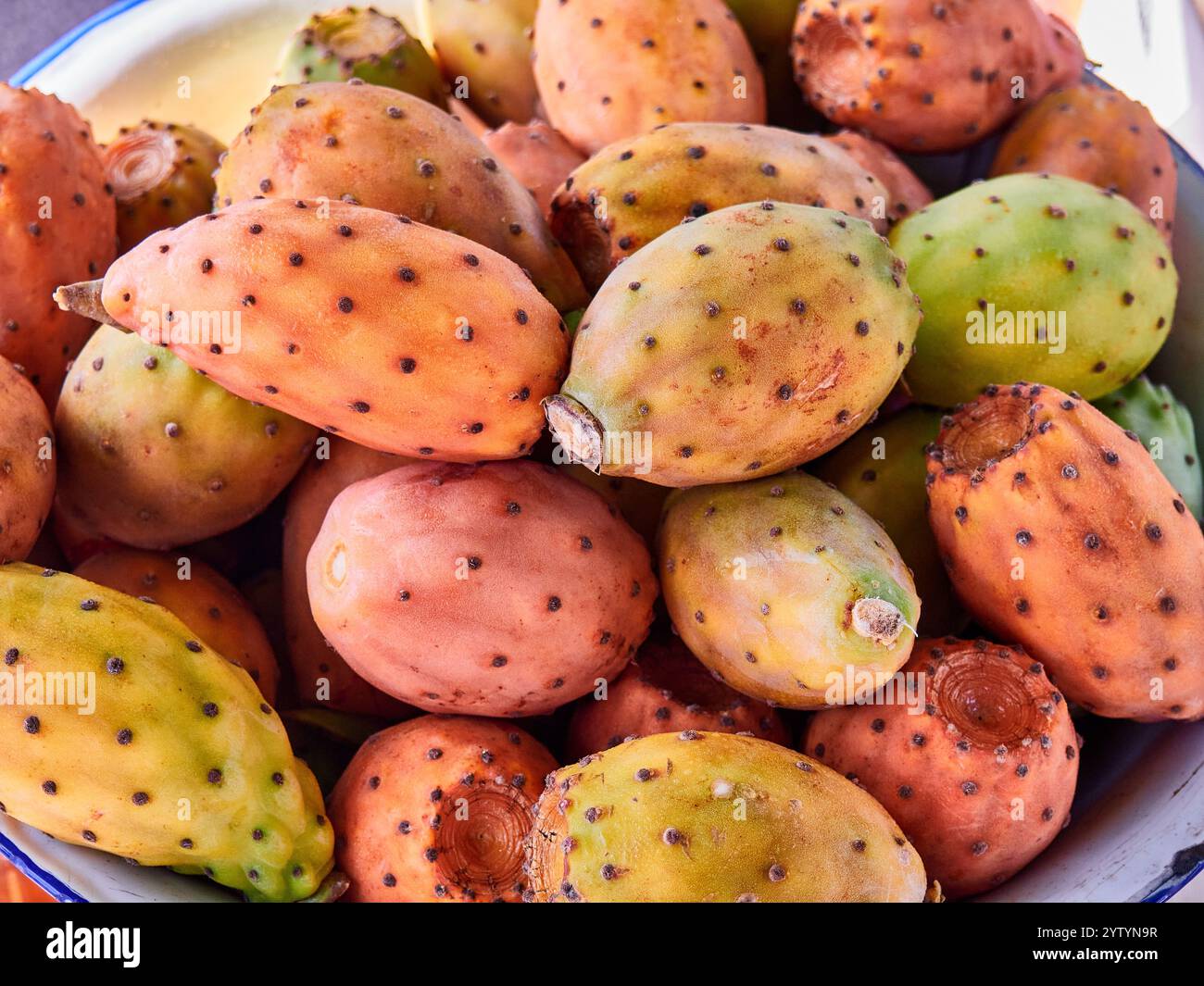 Prickly pear cactus fruit (Opuntia ficus Stock Photo - Alamy
