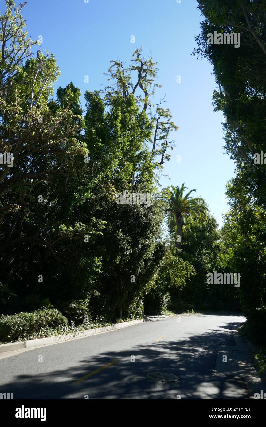 Beverly Hills, California, USA 7th December 2024 Schuyler Road on ...