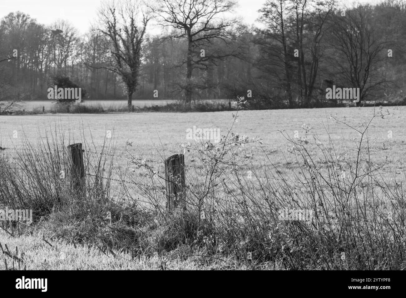 Autum Black and White Stock Photos & Images - Alamy