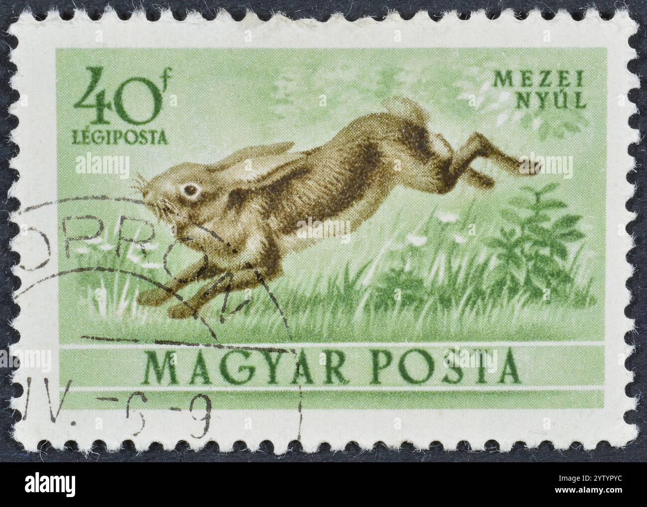 Cancelled postage stamp printed by Hungary, that shows European Hare ...