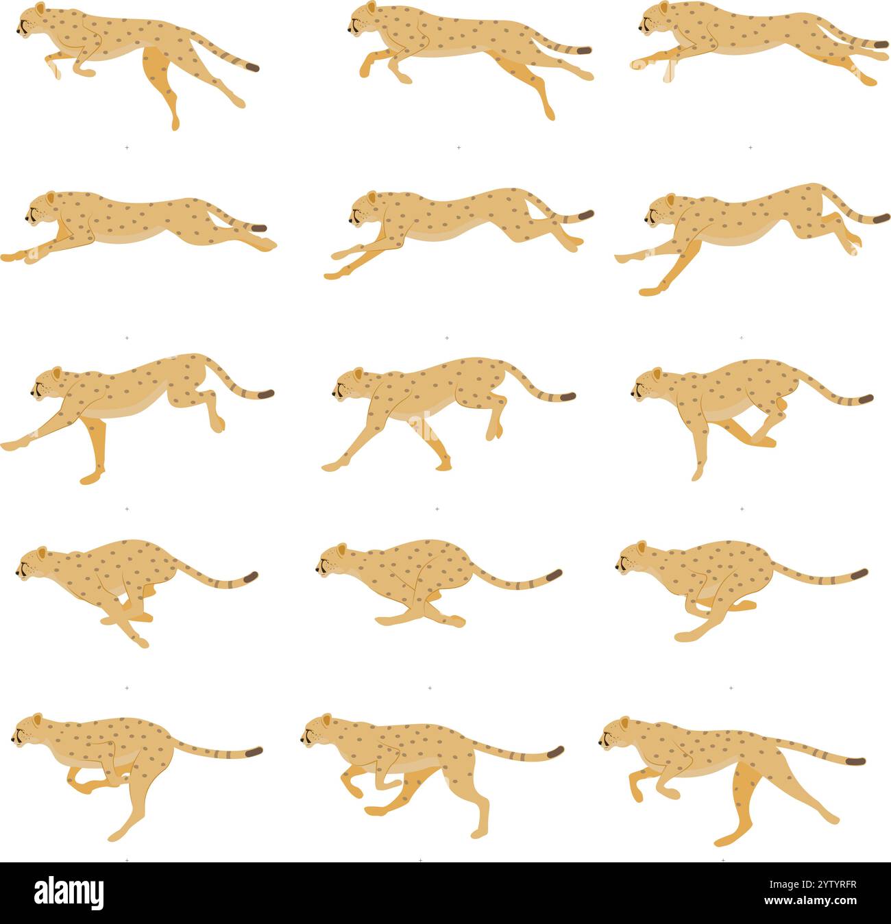Cheetah runing animation Spritesheet, realistic animation, animal ...