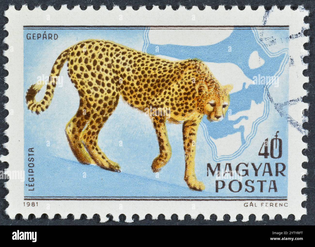 Cancelled postage stamp printed by Hungary, that shows Cheetah ...