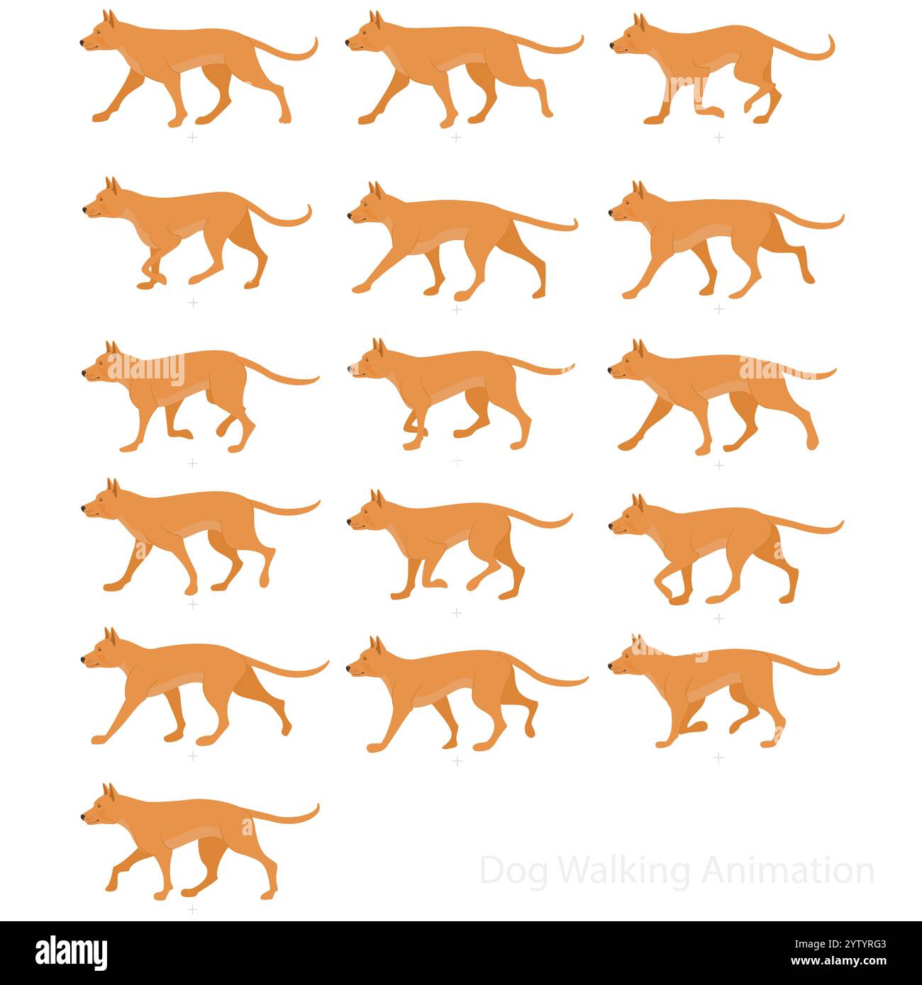 Loop dog animation hi-res stock photography and images - Alamy