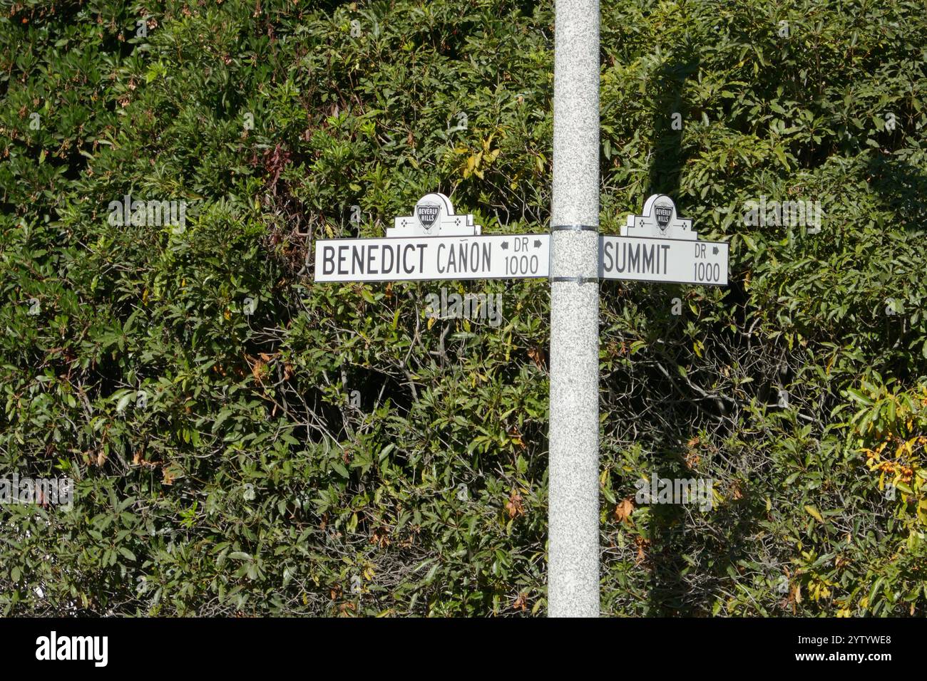 Beverly Hills, California, USA 7th December 2024 Benedict Canyon Drive ...
