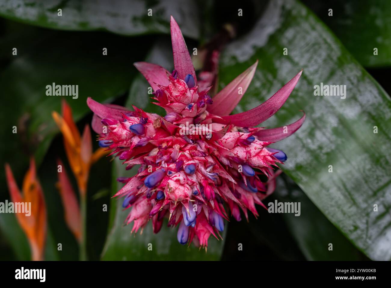 Miami Beach Botanical Garden in Miami, Florida: Gorgeous Tropical ...