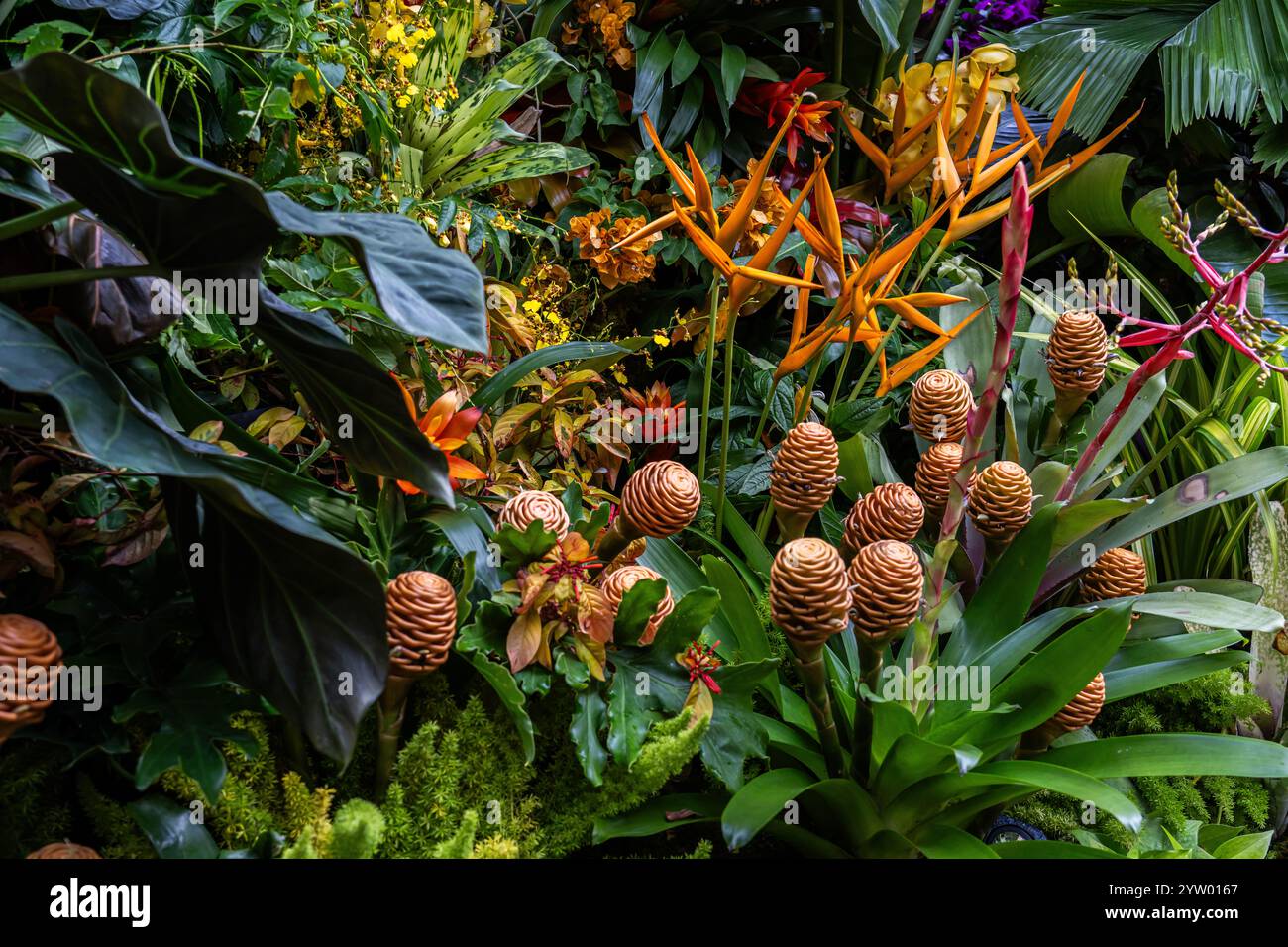 Miami Beach Botanical Garden in Miami, Florida: Gorgeous Tropical ...