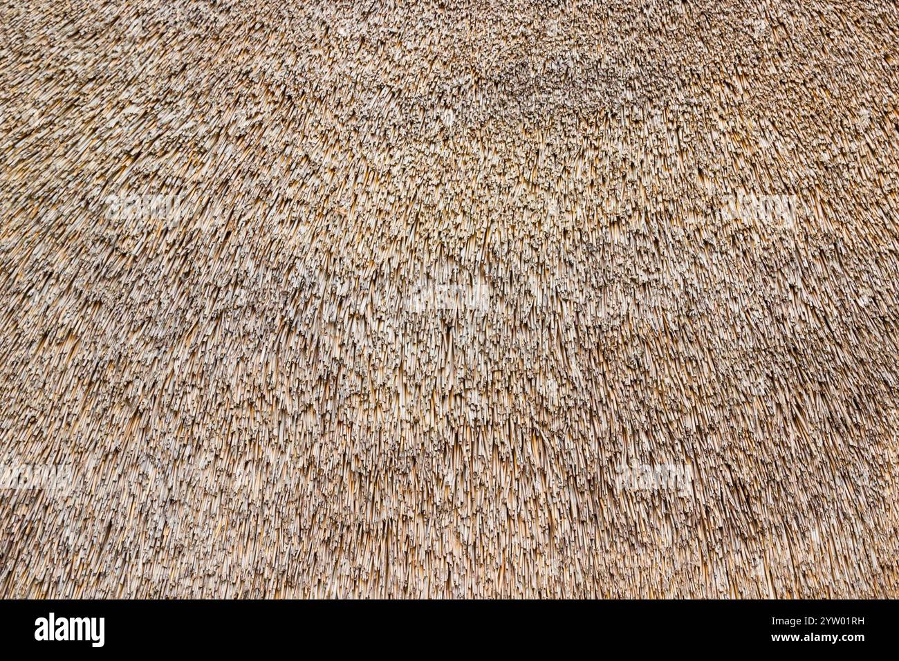 Natural background. Old straw laid out on a flat surface Stock Photo ...