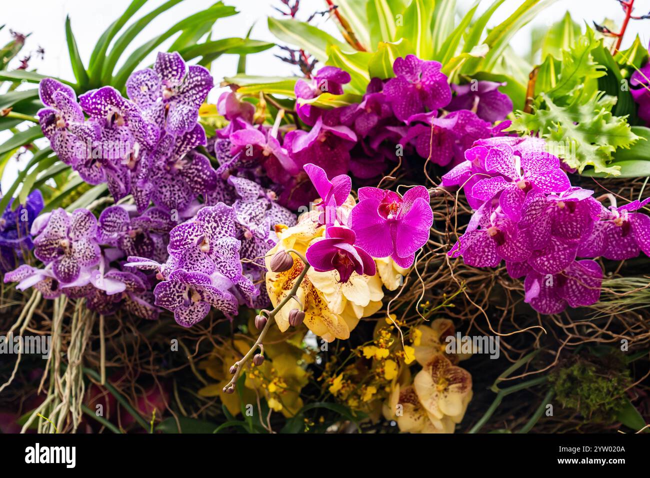 Miami Beach Botanical Garden in Miami, Florida: Gorgeous colorful ...