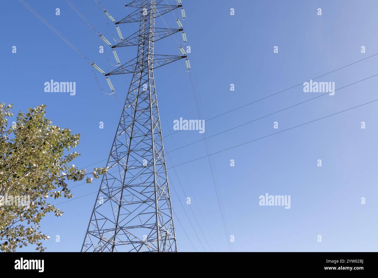 Electricity pylons transporting energy under a clear blue sky Stock ...