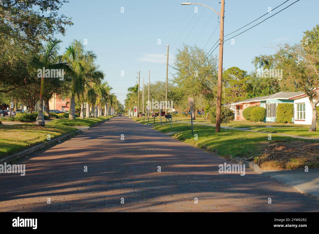 Wide low view leading lines down Brick Street. Residential neighborhood ...