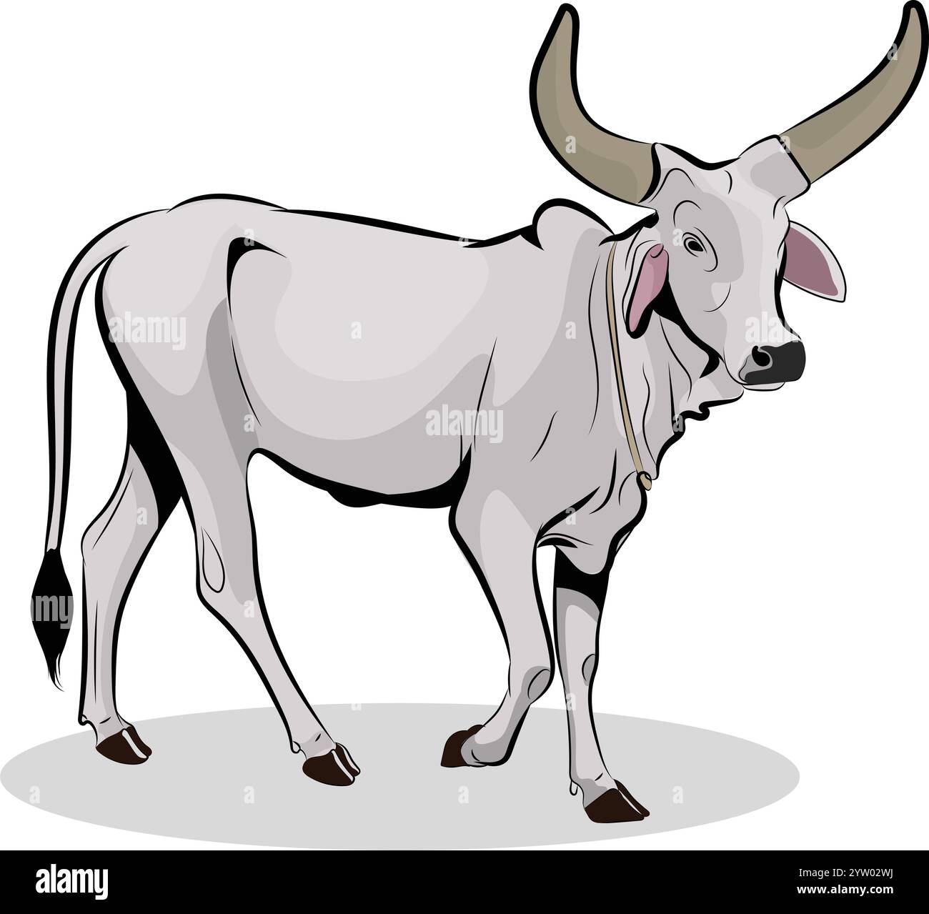 bull walks into the ground, Indian bull Stock Vector Image & Art - Alamy