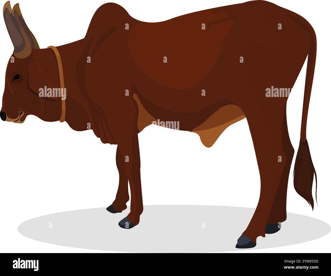 Zebu bull. Brahman cattle. Vector illustration Stock Vector Image & Art ...