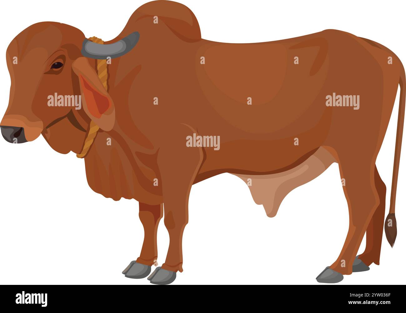 Zebu bull. Brahman cattle. Vector illustration Stock Vector Image & Art ...