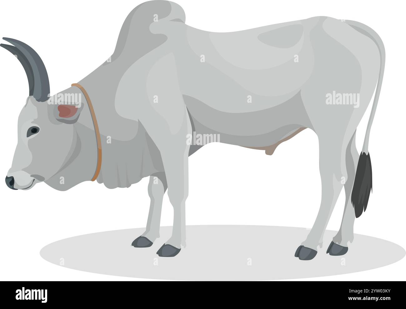 Zebu bull. Brahman cattle. Vector illustration Stock Vector Image & Art ...