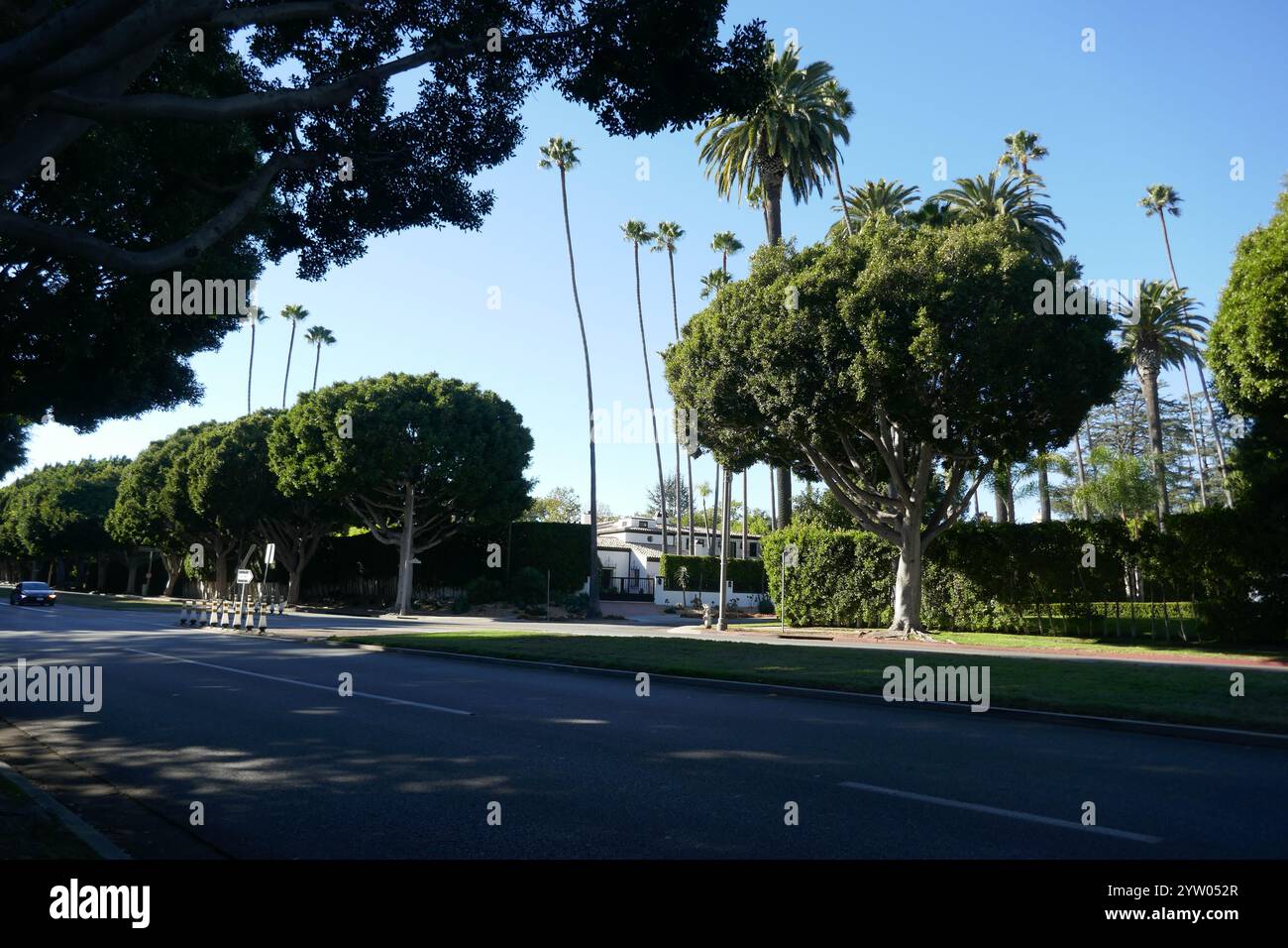 Beverly Hills, California, USA 7th December 2024 Sunset Blvd on ...