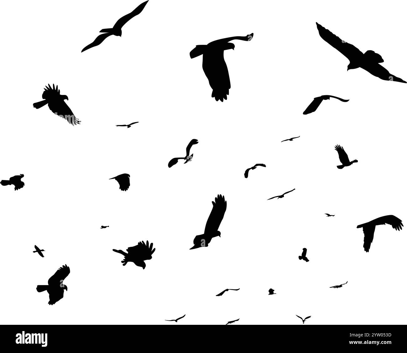 Flying bird silhouette vector illustration Stock Vector Image & Art - Alamy