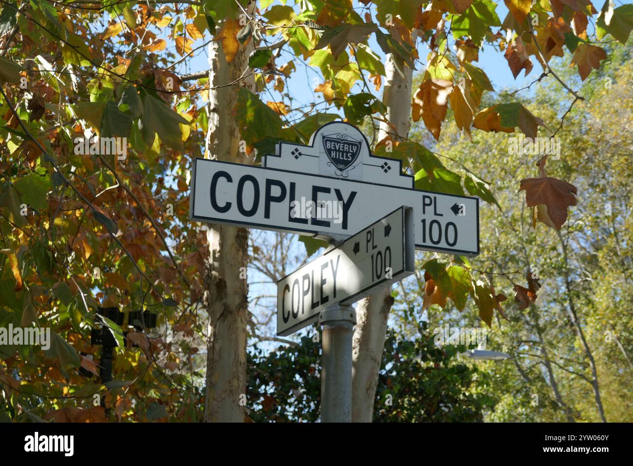 Beverly Hills, California, USA 7th December 2024 Copley Drive and ...