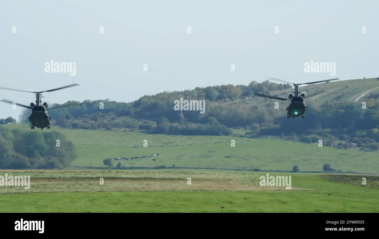 a pair of British army Boeing Chinook CH-47 helicopters in low level ...