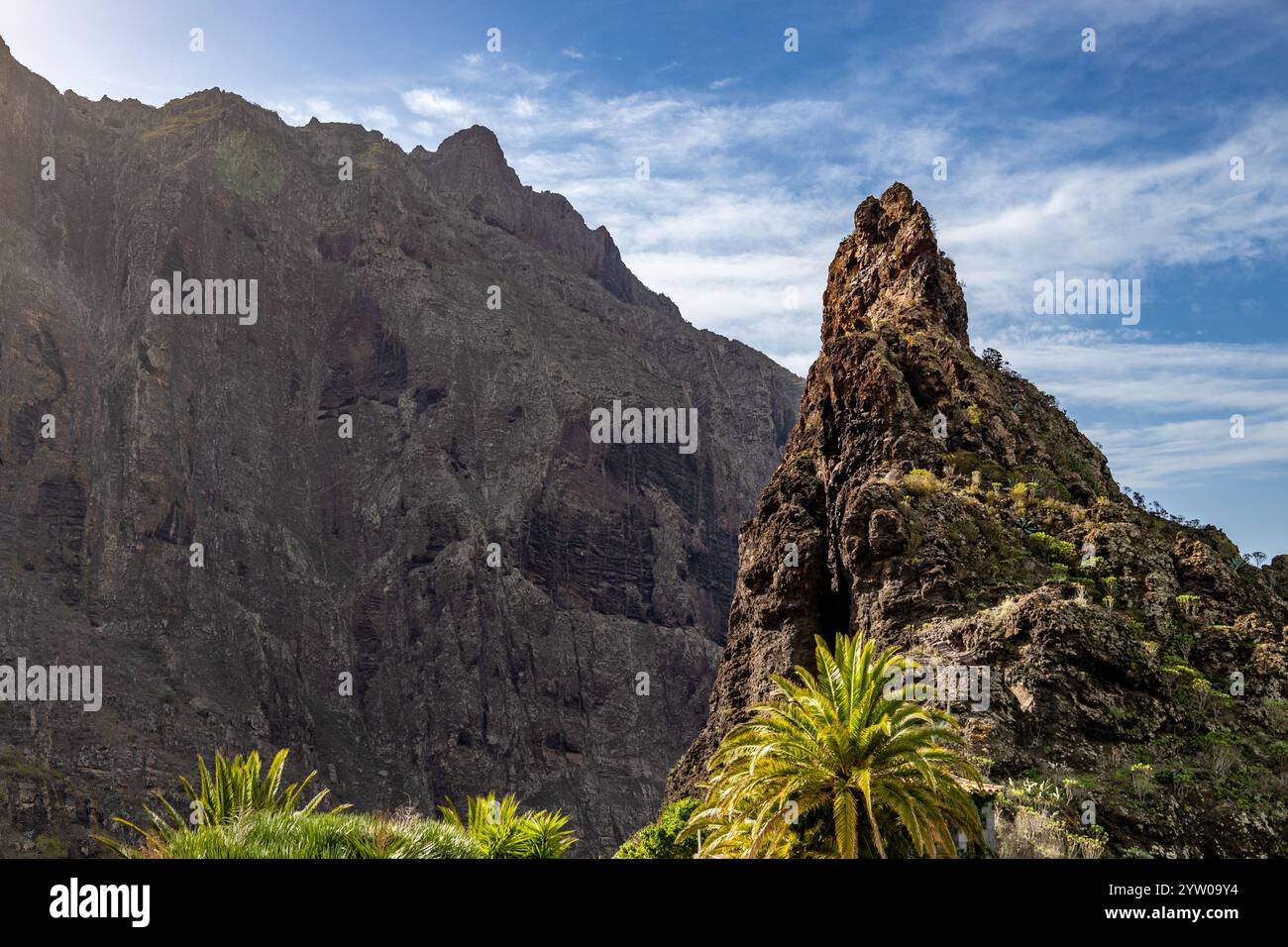 The Masca Gorge is one of the most popular places in Tenerife. Walking ...