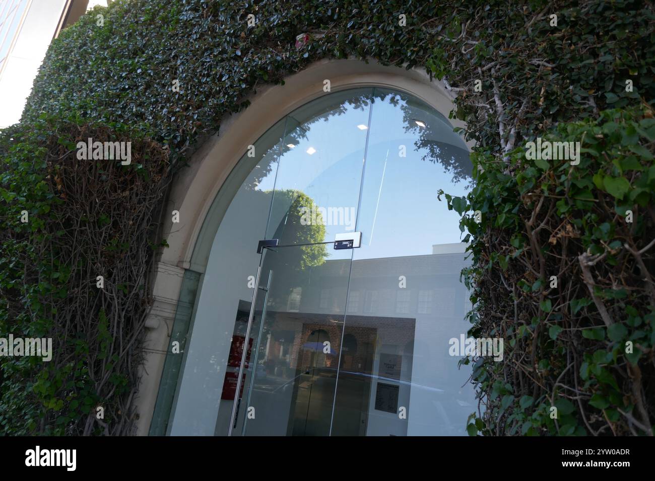 Beverly Hills, California, USA 7th December 2024 Actor Rex Allen Sr ...